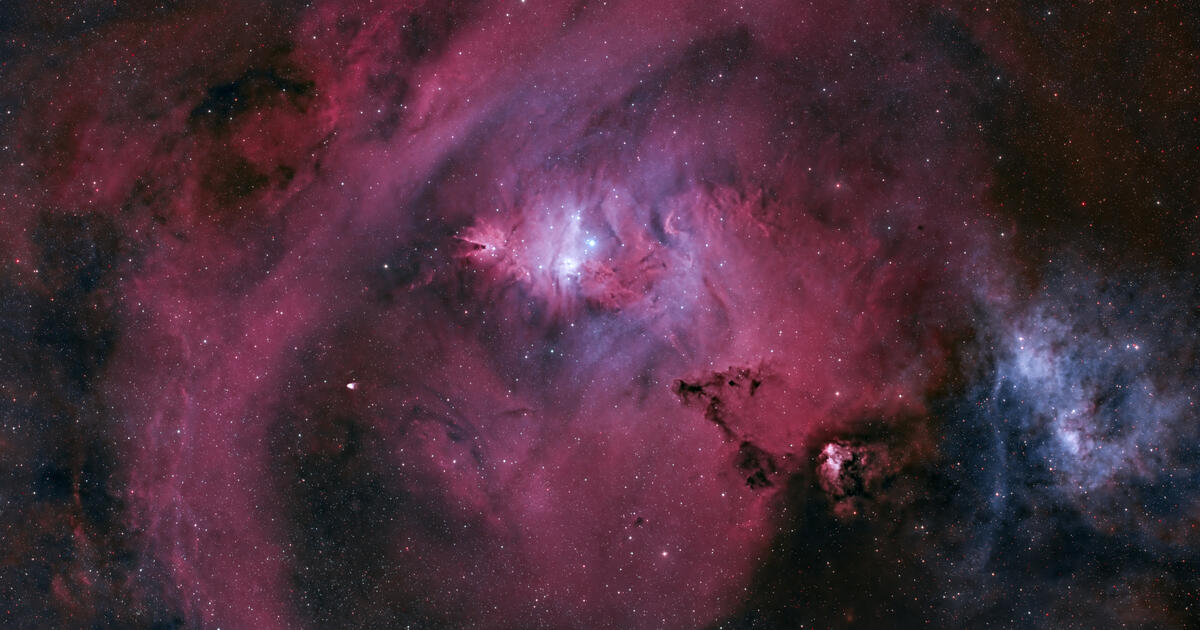 NGC 2264 - Christmas Tree Cluster / Cone Nebula Widefield | Telescope Live