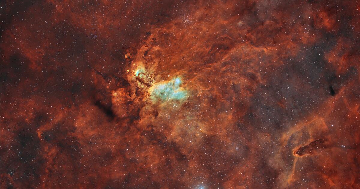 Prawn Nebula in wide field | Telescope Live
