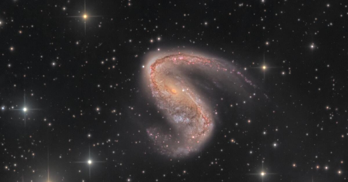 NGC 2442 | Telescope Live