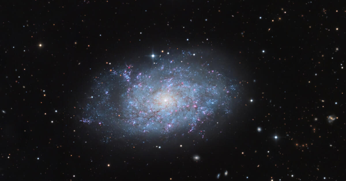 NGC 7793 | Telescope Live