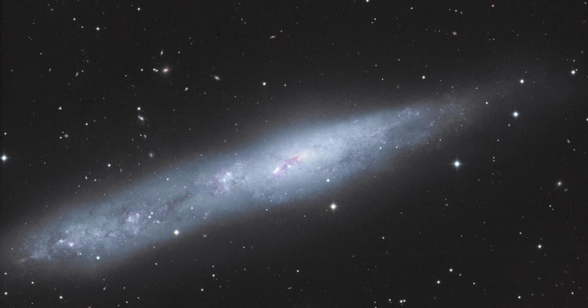 NGC 55 | Telescope Live