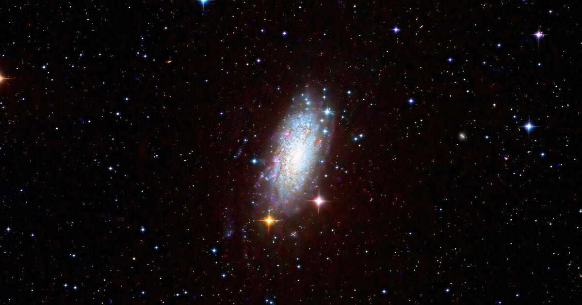 NGC 3621 | Telescope Live