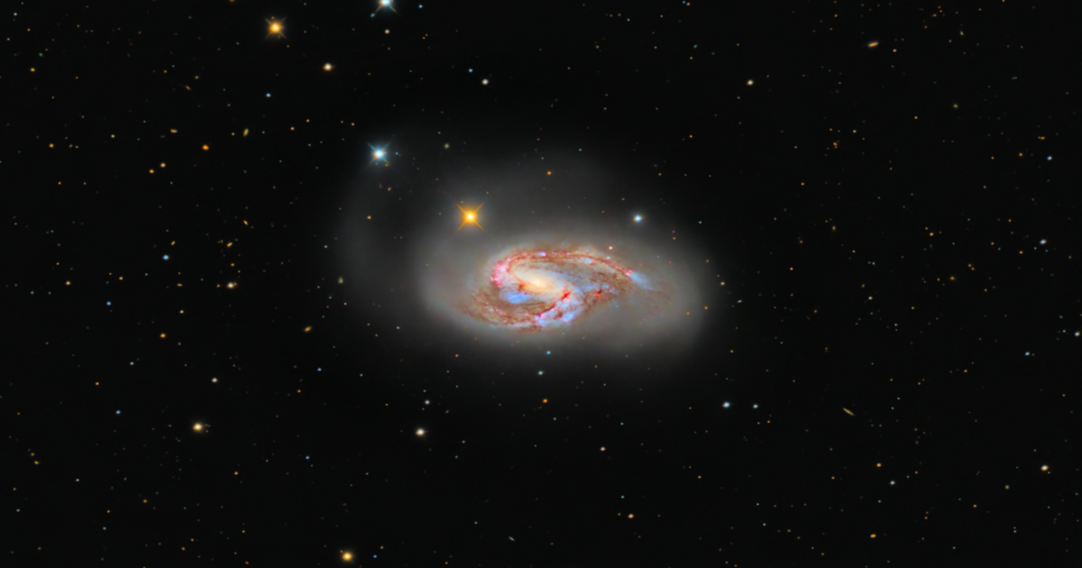 Messier 66 - Galaxy in Leo Triplet | Telescope Live