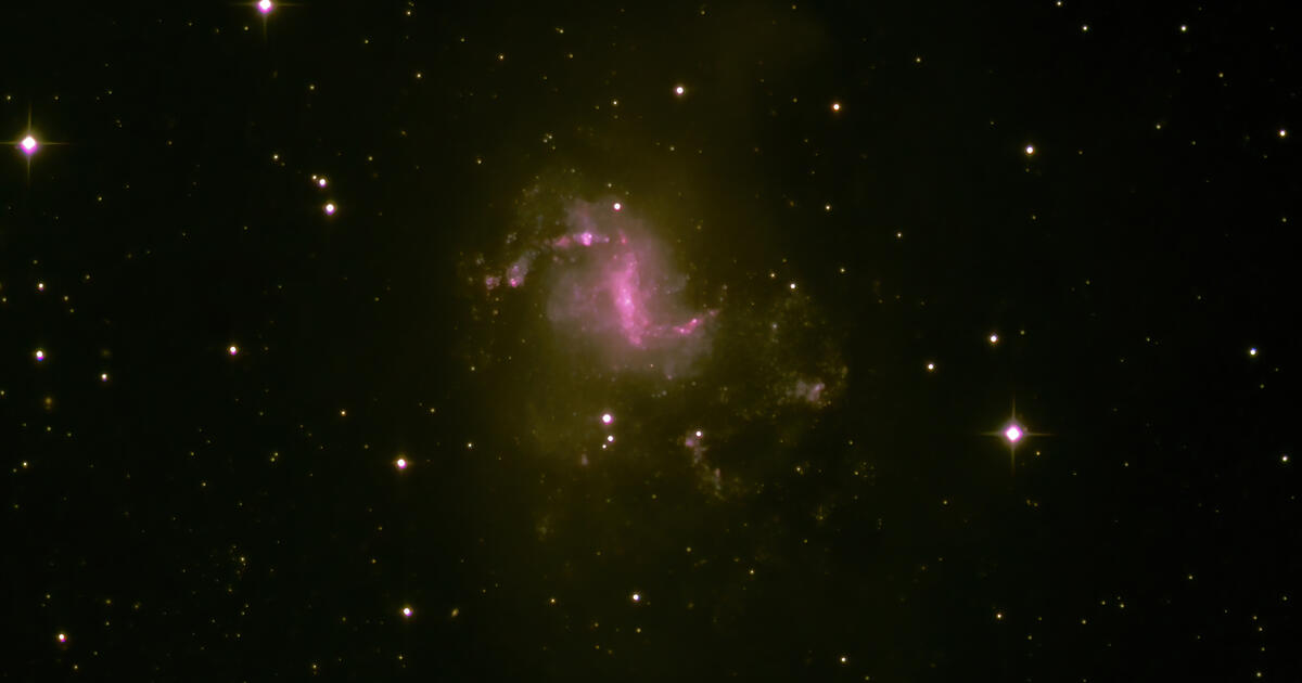 NGC 1313 | Telescope Live