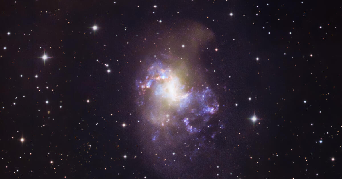 NGC1313 | Telescope Live