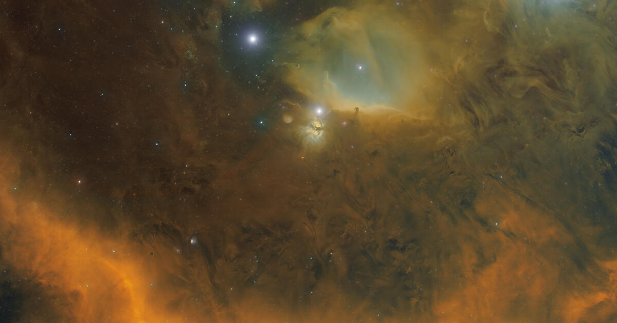 Orion Mosaic | Telescope Live
