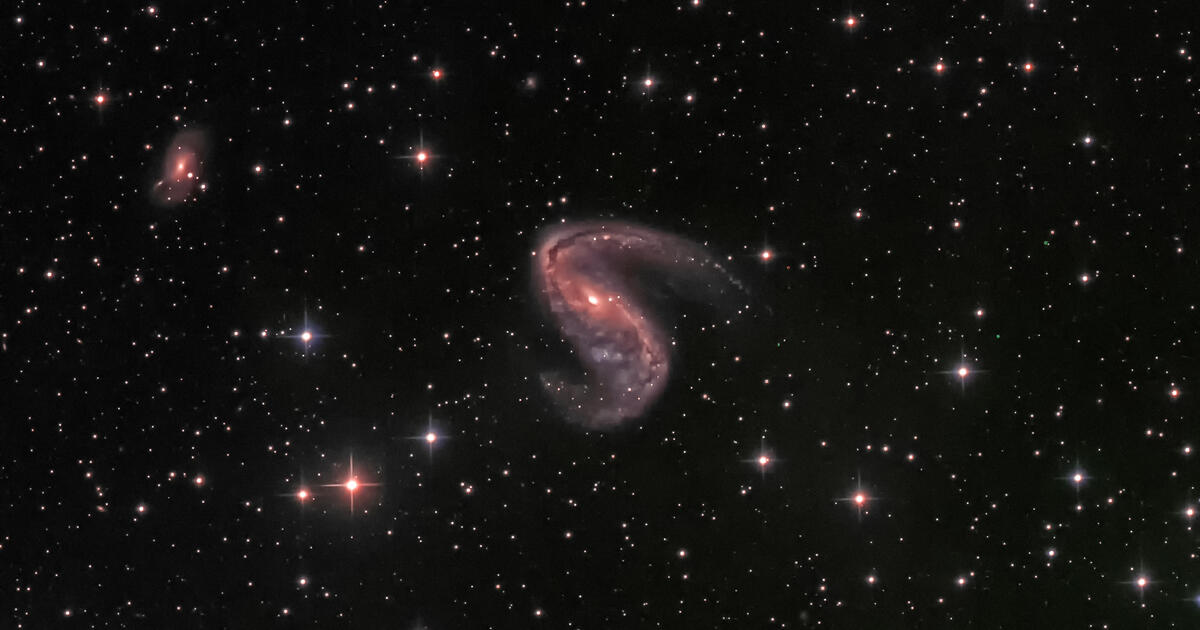 ngc 2442 | Telescope Live