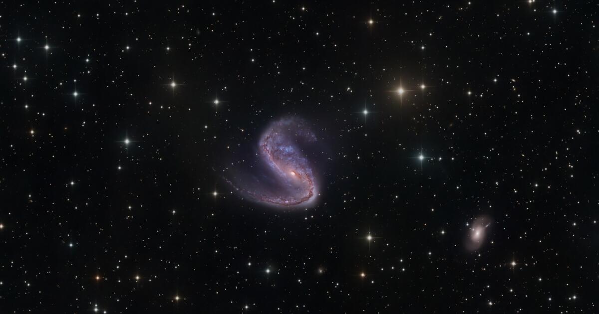 Cobra and Mouse (NGC 2442, 2443) | Telescope Live