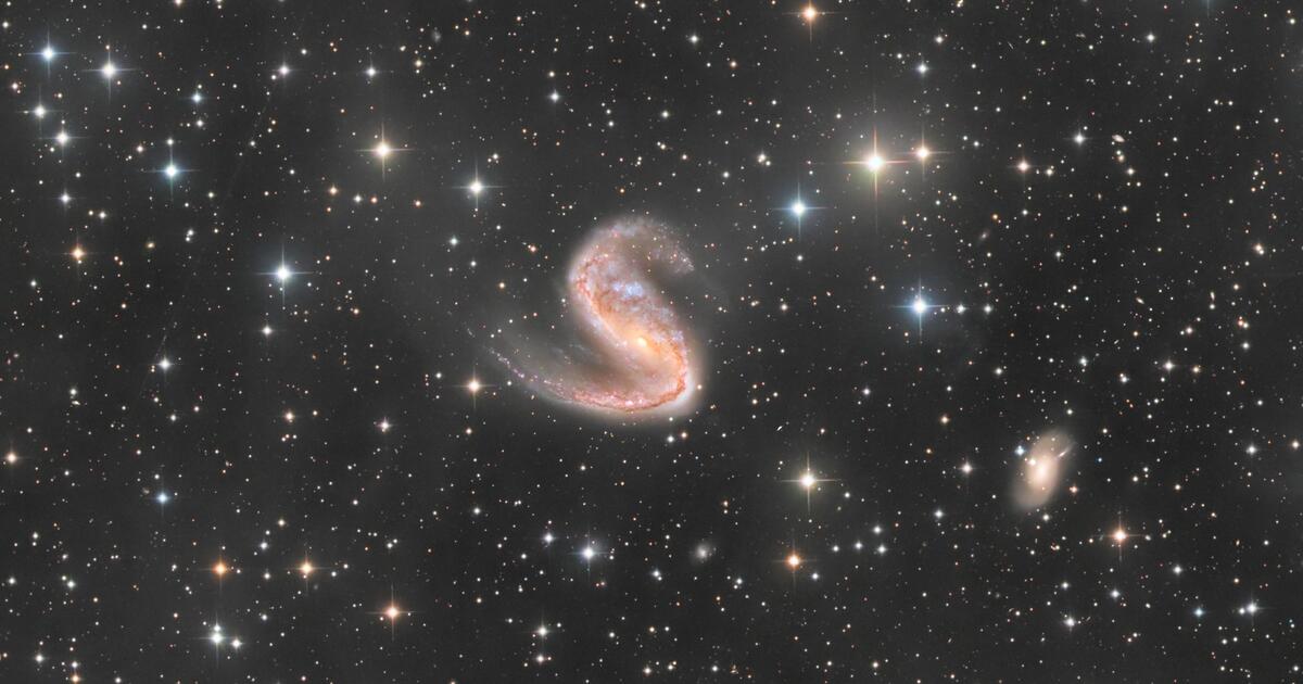 NGC 2442 - the King Cobra Galaxy | Telescope Live