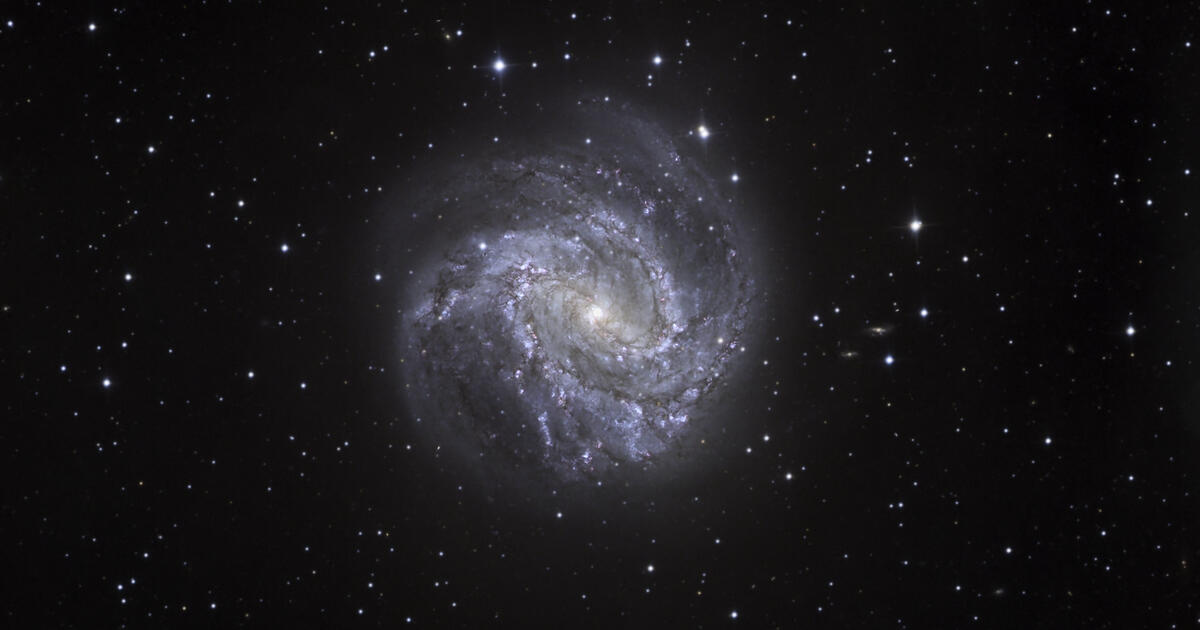 M83 LRGB | Telescope Live