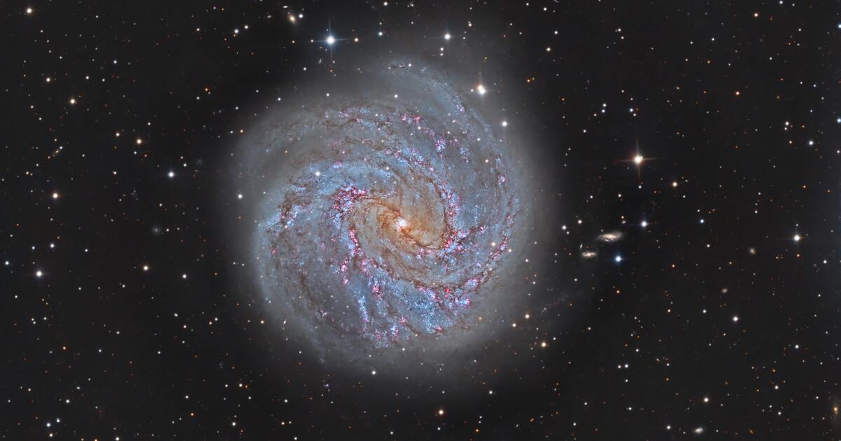 M83 | Telescope Live