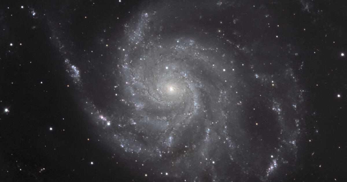 M101 with Supenova 2023IXF | Telescope Live