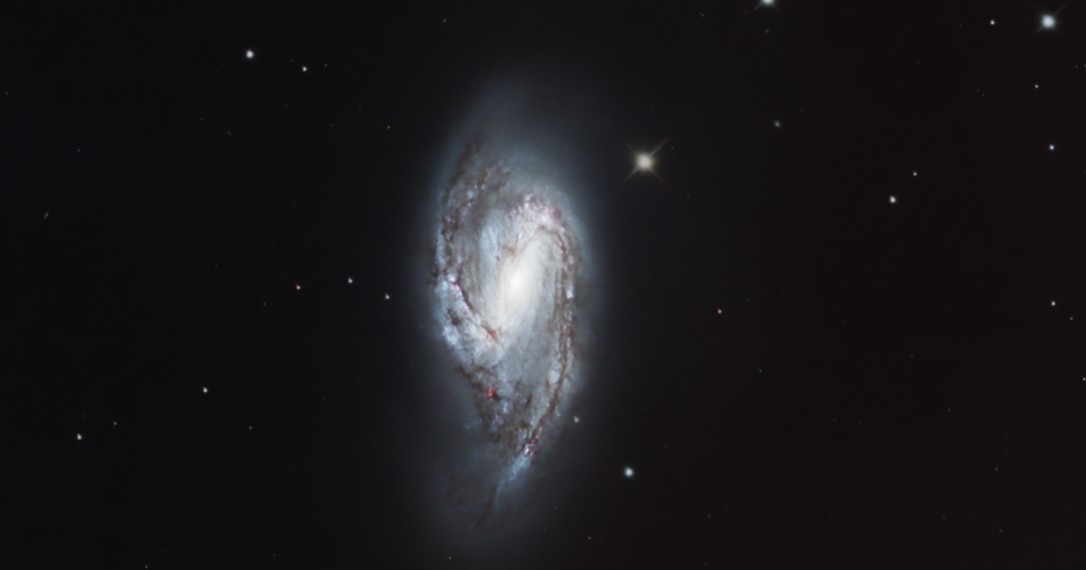 M66 | Telescope Live