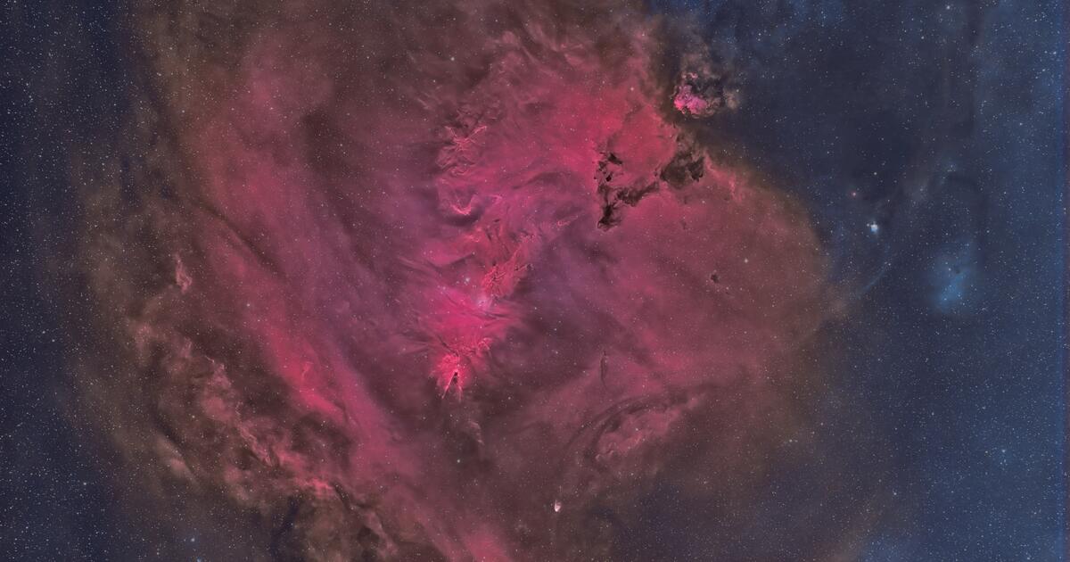 NGC 2264 | Telescope Live