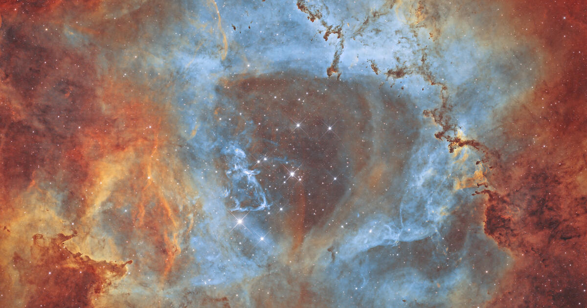 Roses in Space | Telescope Live