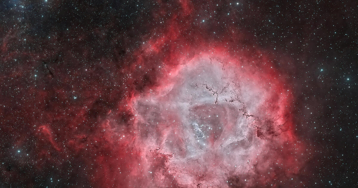 A Rose in Space (Rosette Zoomed In) | Telescope Live
