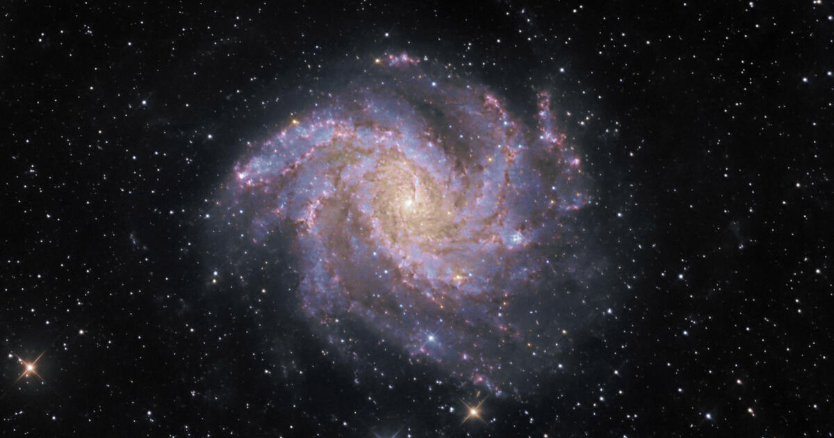 NGC 6946 | Telescope Live