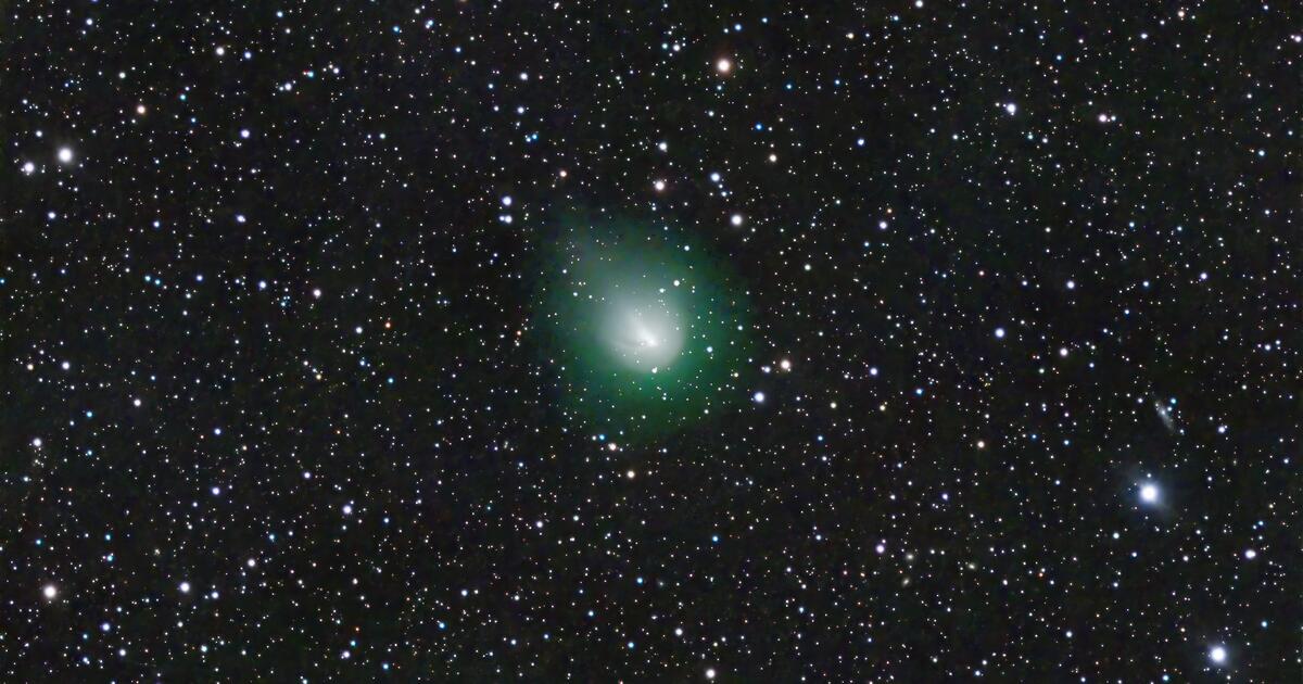 Comet 12P Pons-Brooks on 23 Nov 2023 | Telescope Live