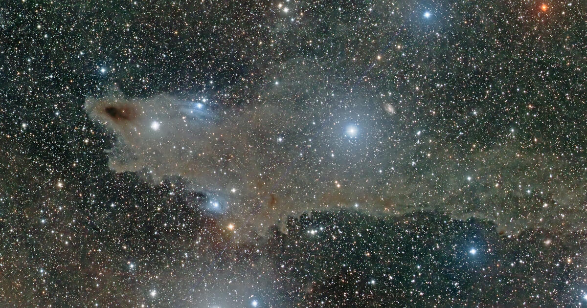 Shark LDN1235 | Telescope Live