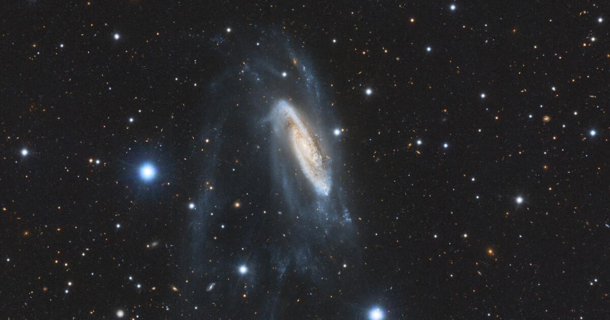 NGC 3981 | Telescope Live