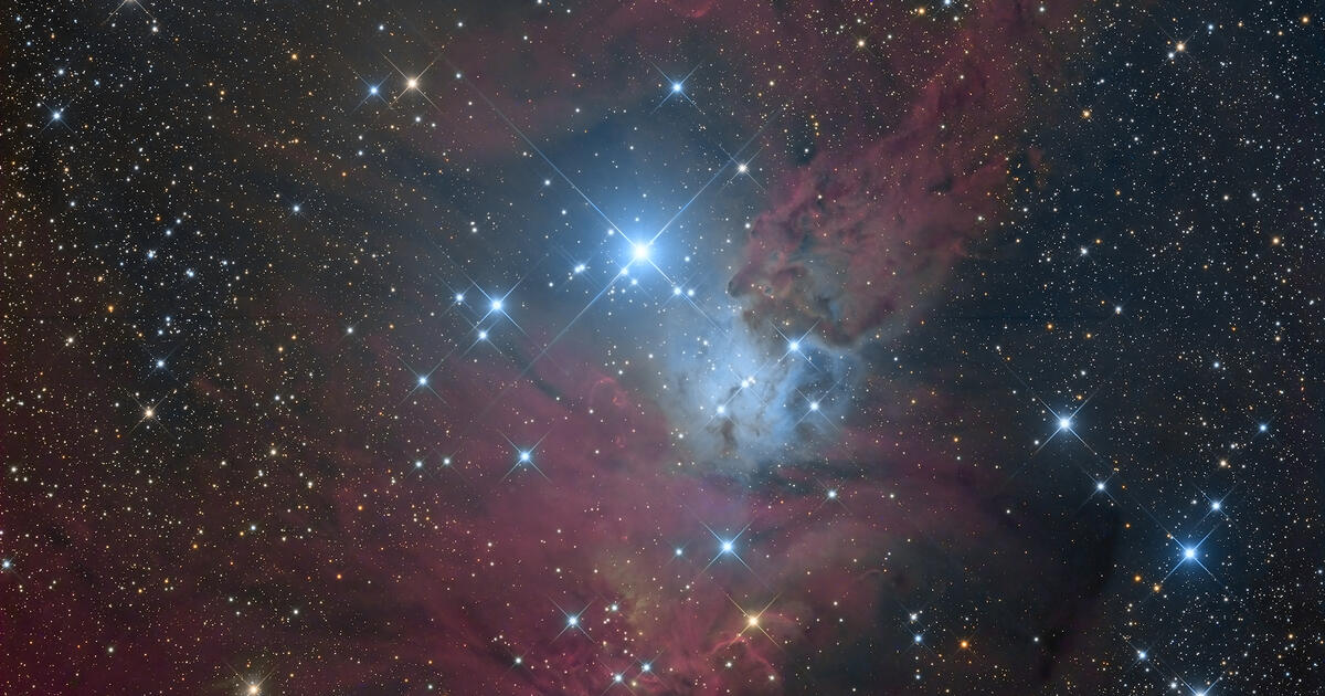 Christmas Tree Cluster | Telescope Live