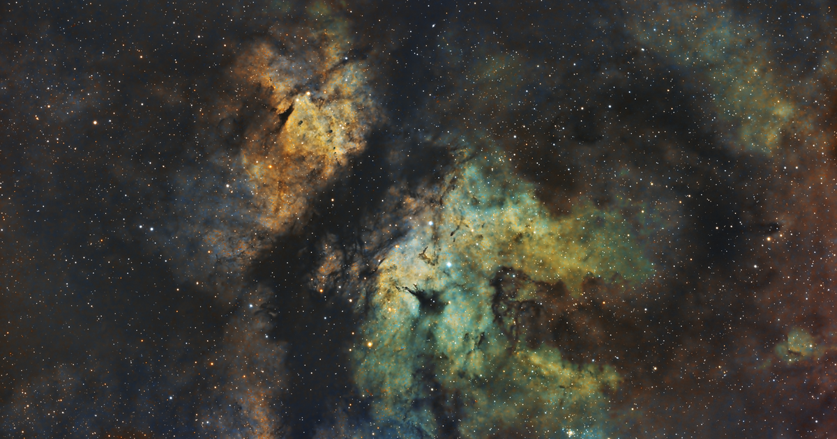 Butterfly Nebula ~ Sadr Reigon | Telescope Live