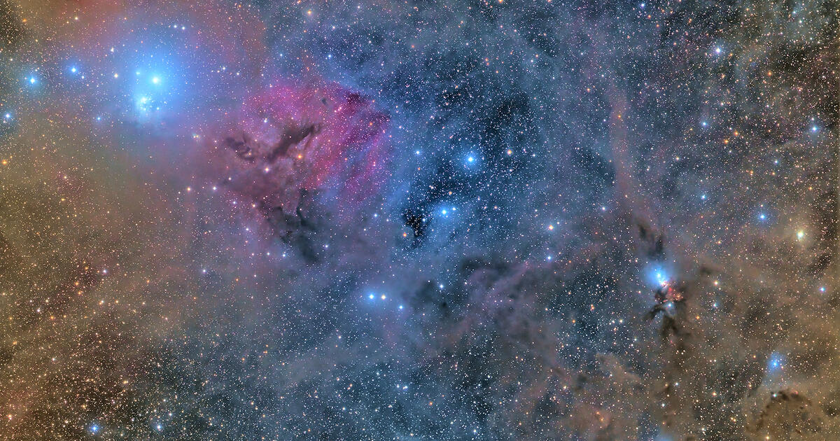 IC 348 & NGC 1333 | Telescope Live