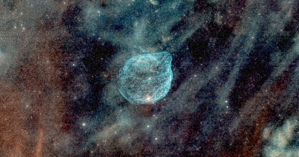 The Dolphin Nebula (Sh2-308) Region | Telescope Live