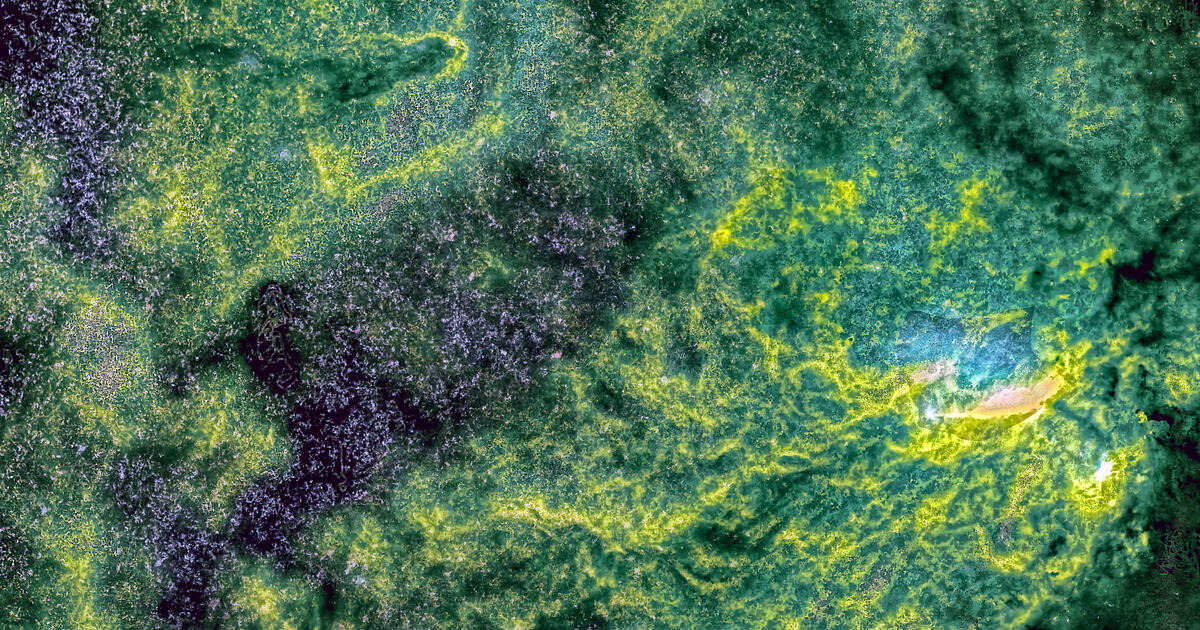 RCW113 | Telescope Live