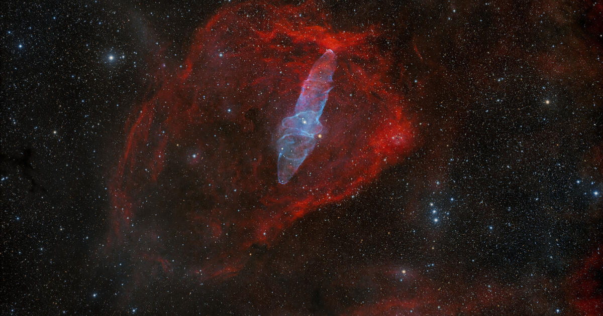 Bat and Squid | Telescope Live