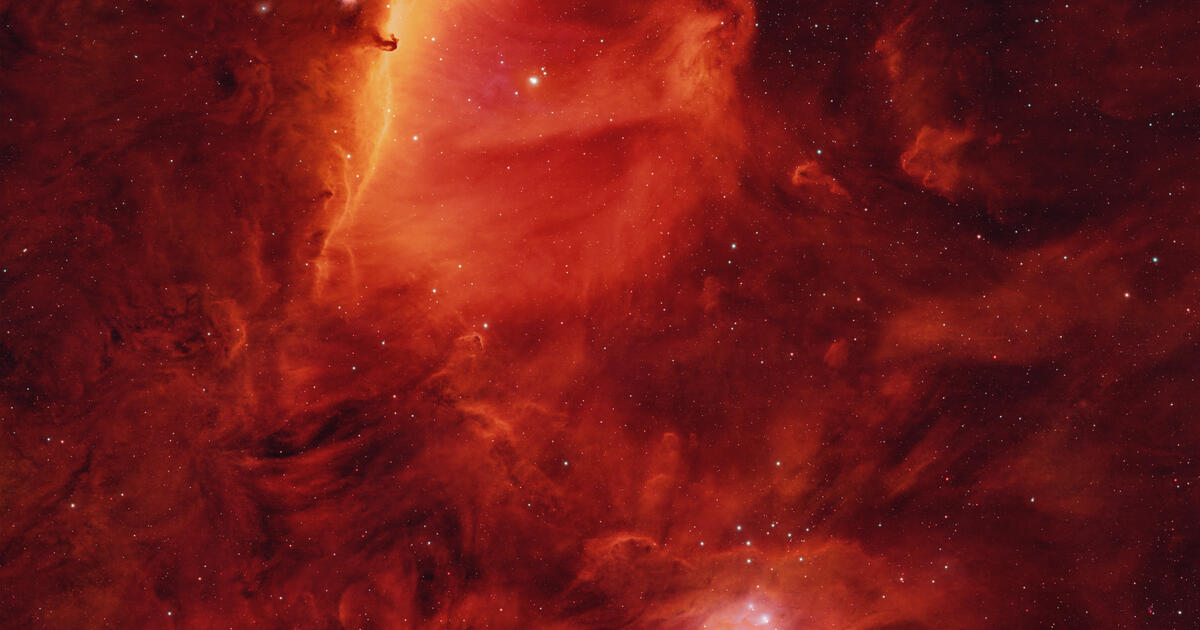 Orion Mosaic - IC434 to M42 | Telescope Live