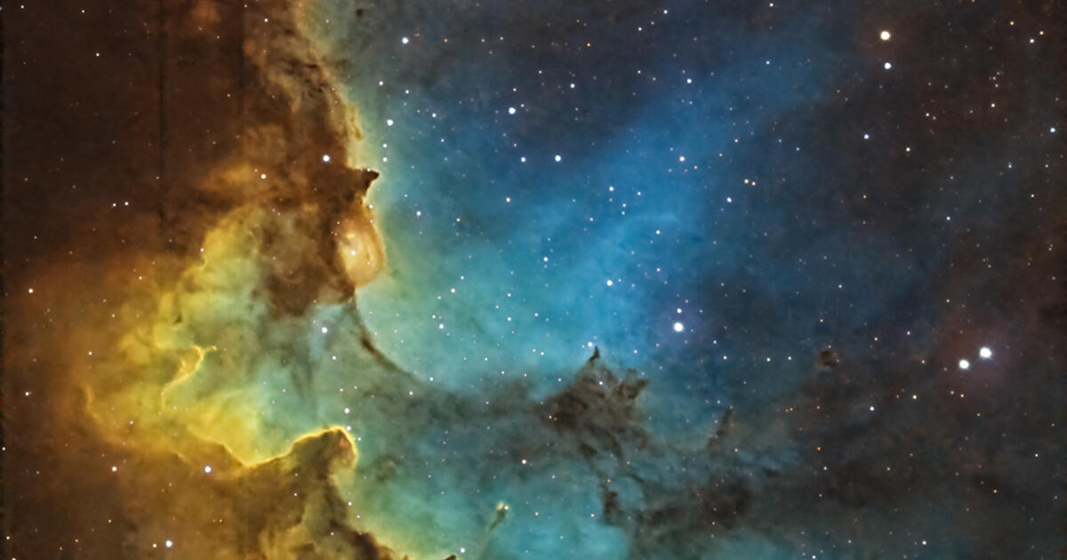 Wizard Nebula Up Close | Telescope Live