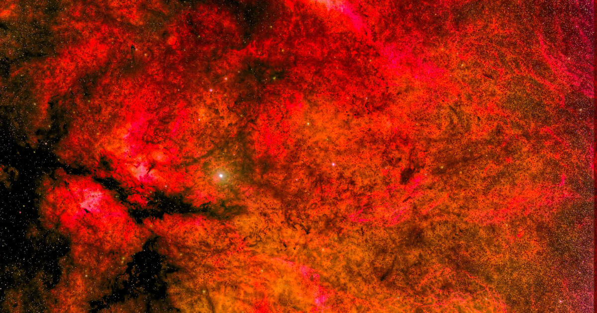 Gamma Cygni Widefield | Telescope Live