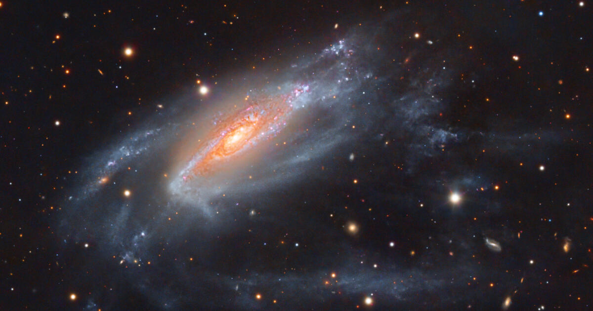 NGC 3981 | Telescope Live