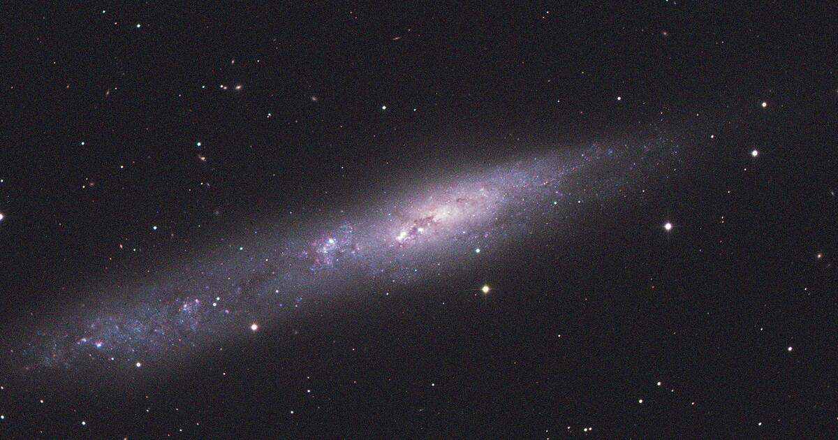 NGC 55 | Telescope Live