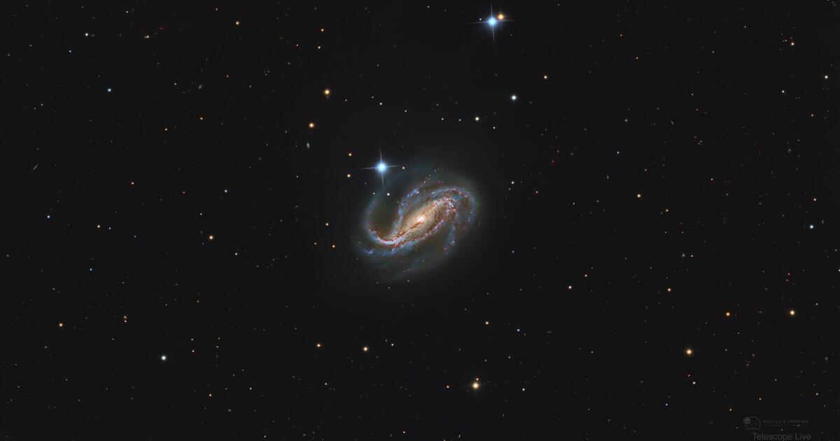 NGC 613 | Telescope Live