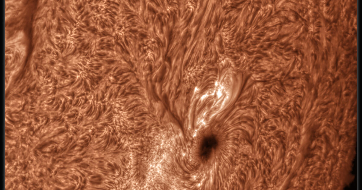 Solar activity on 12-Oct-2024 in Ha | Telescope Live