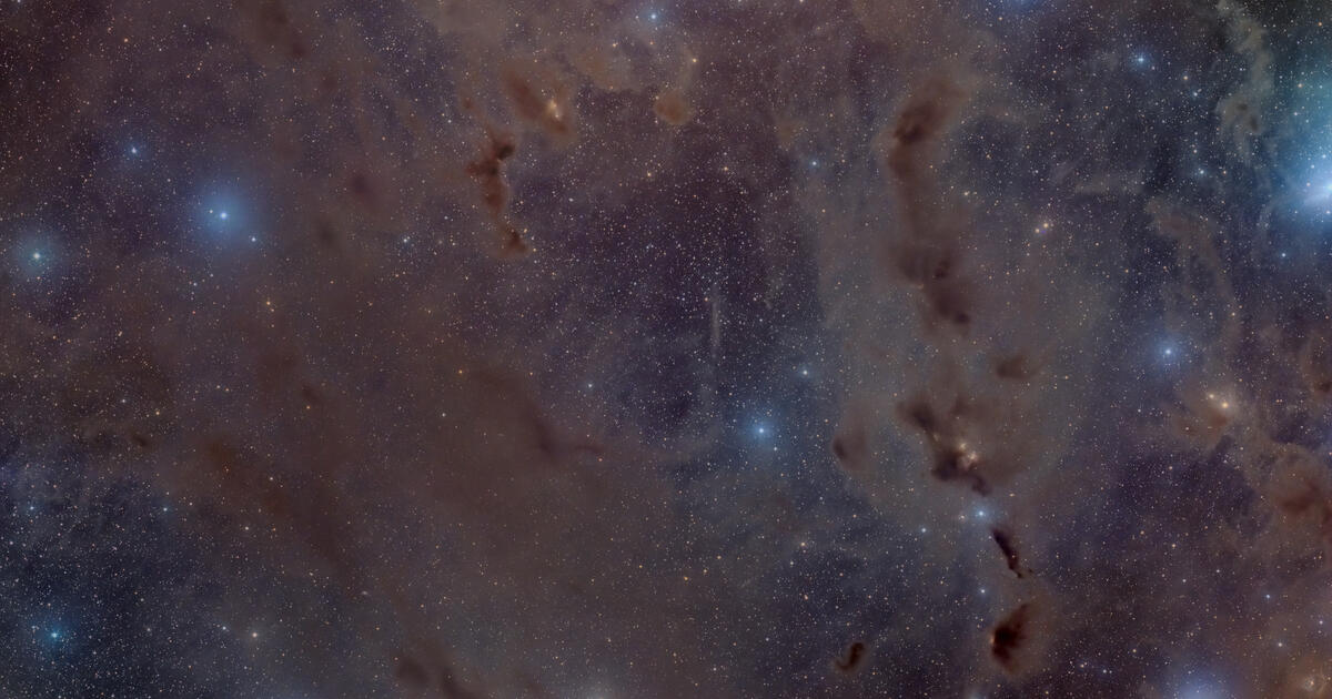 Barnard 22 (B22) – The Dark Horse Nebula | Telescope Live