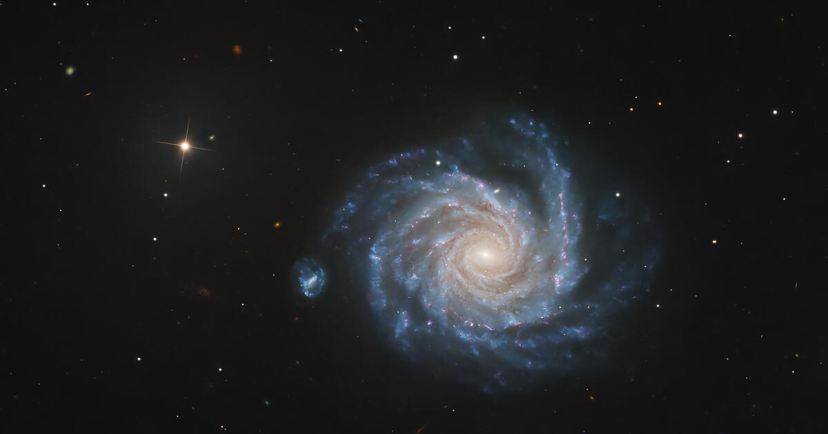 NGC 1232 | Telescope Live