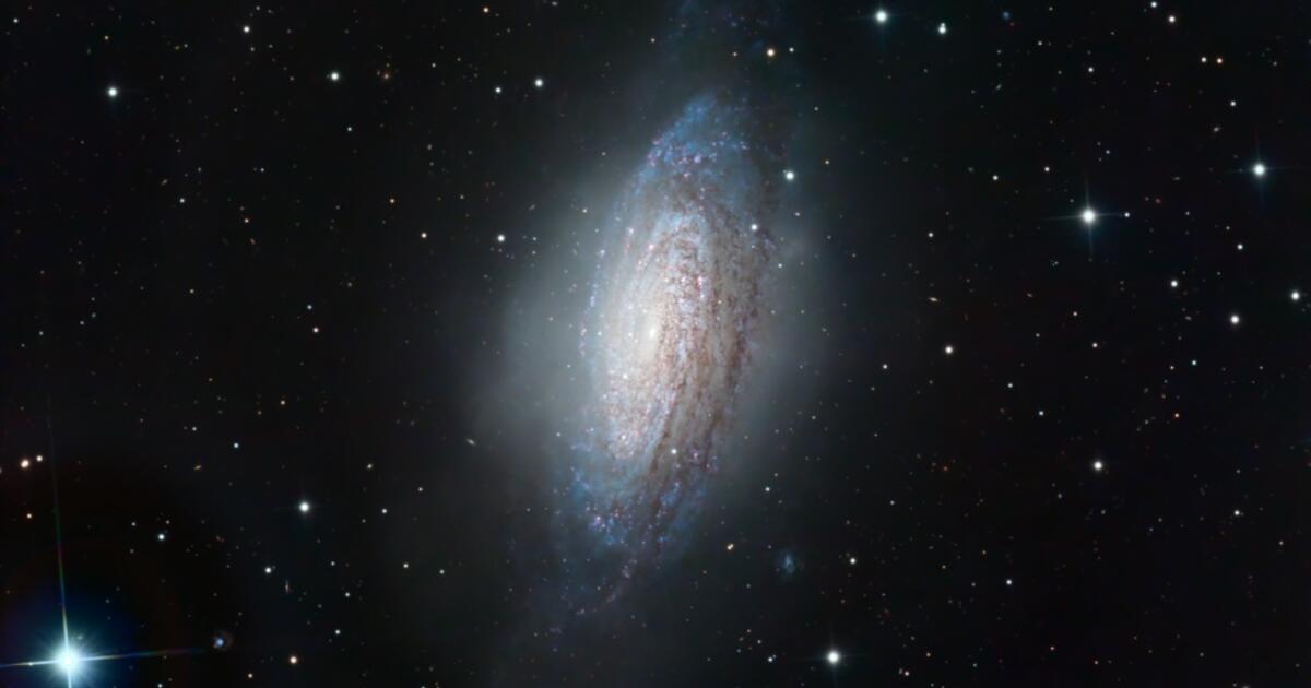 NGC3521 | Telescope Live