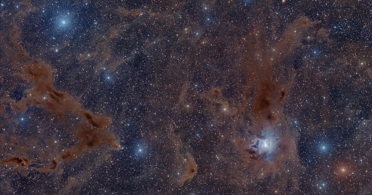 🌌 The Iris Nebula & LDN 1157 – A Cosmic Tapestry 🌿 | Telescope Live