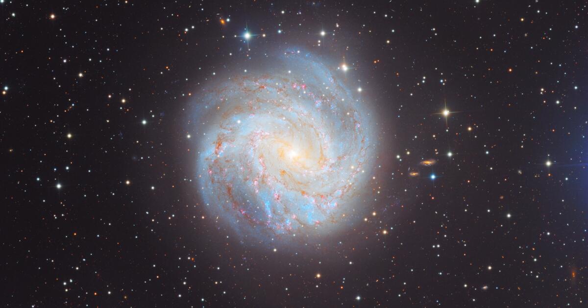 M83 (Southern Pinwheel Galaxy, NGC 5236) | Telescope Live