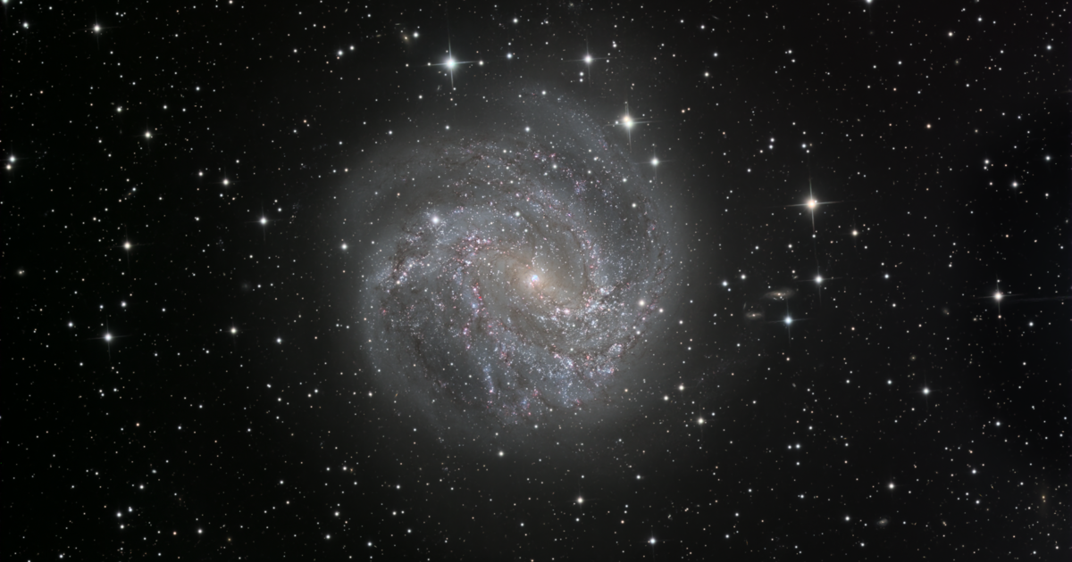 M83 processed to show its stars | Telescope Live