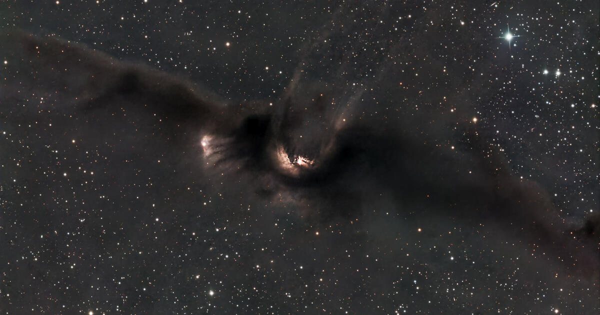 LDN43 - The Cosmic Bat | Telescope Live