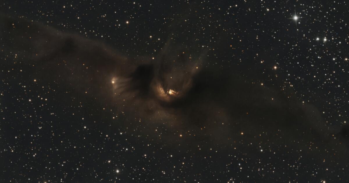 LDN43 Cosmic Bat nebula aka The Silent Assassin | Telescope Live