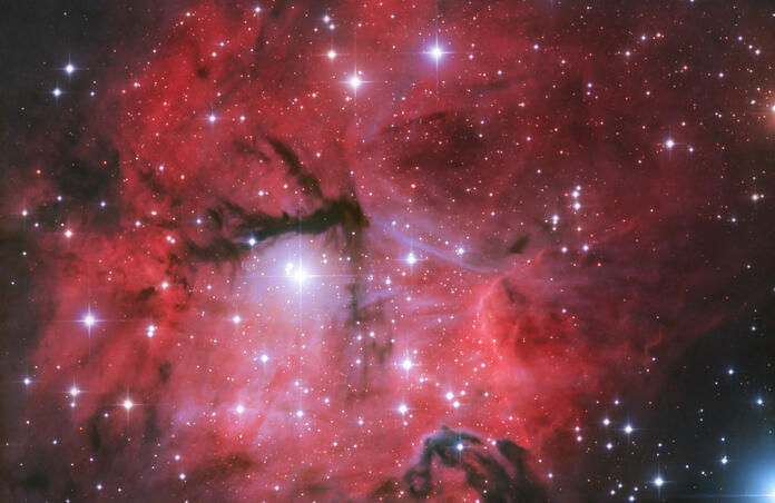 Adam Block | Telescope Live