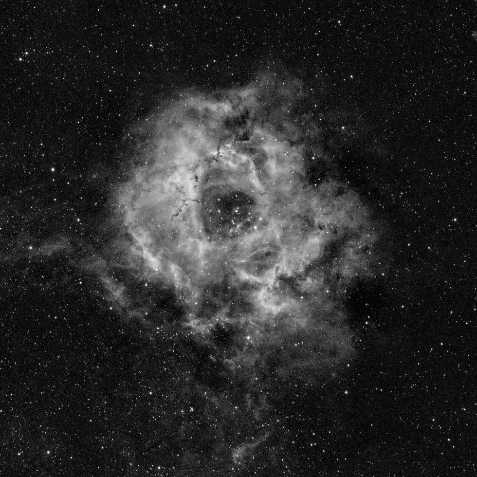 Rosette Nebula B/N (NGC 2237) | Telescope Live