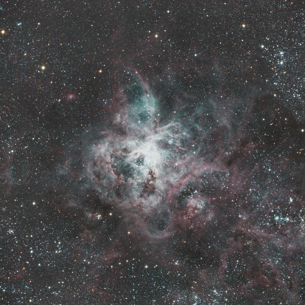 Tarantula Nebula | Telescope Live