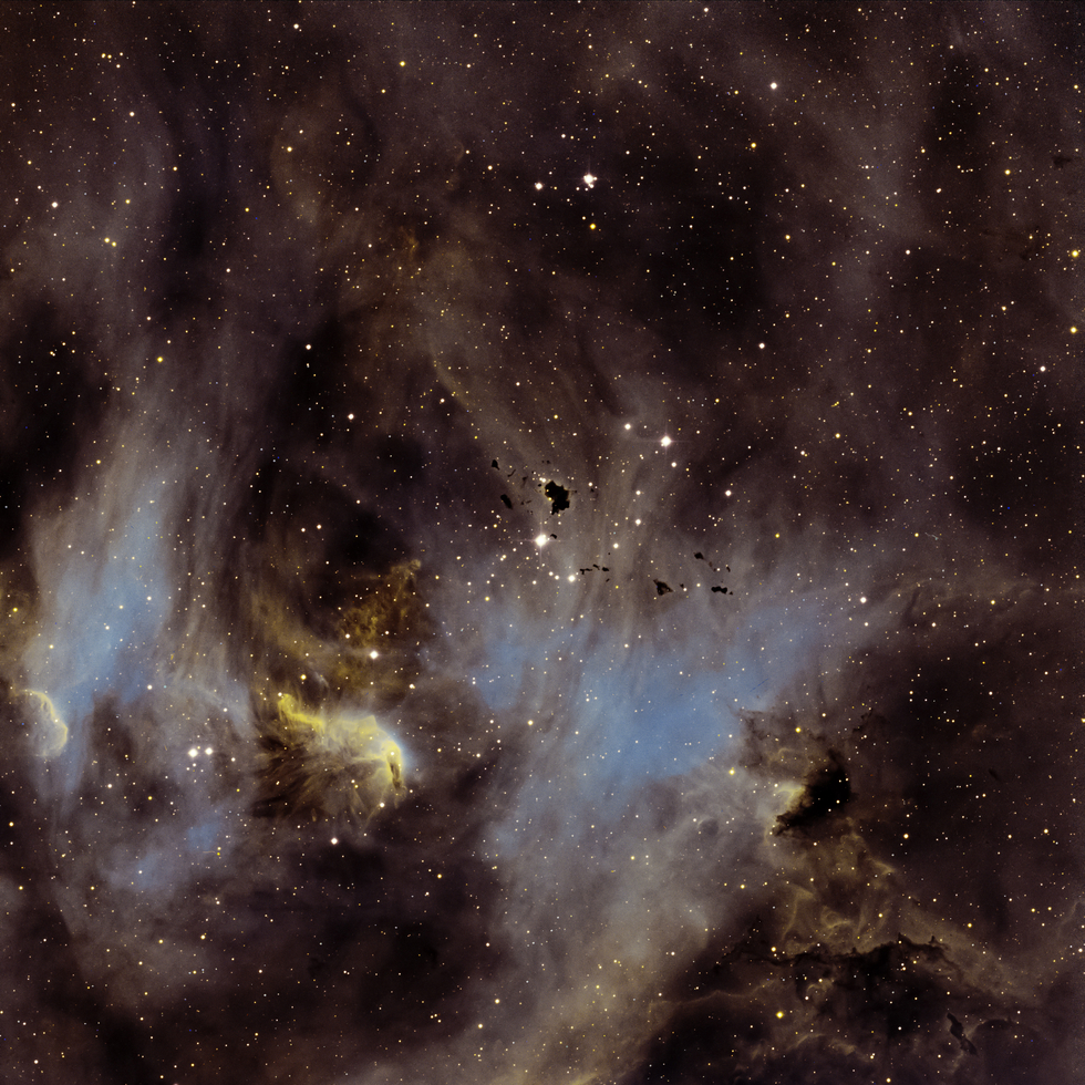 Running Chicken Nebulae | Telescope Live