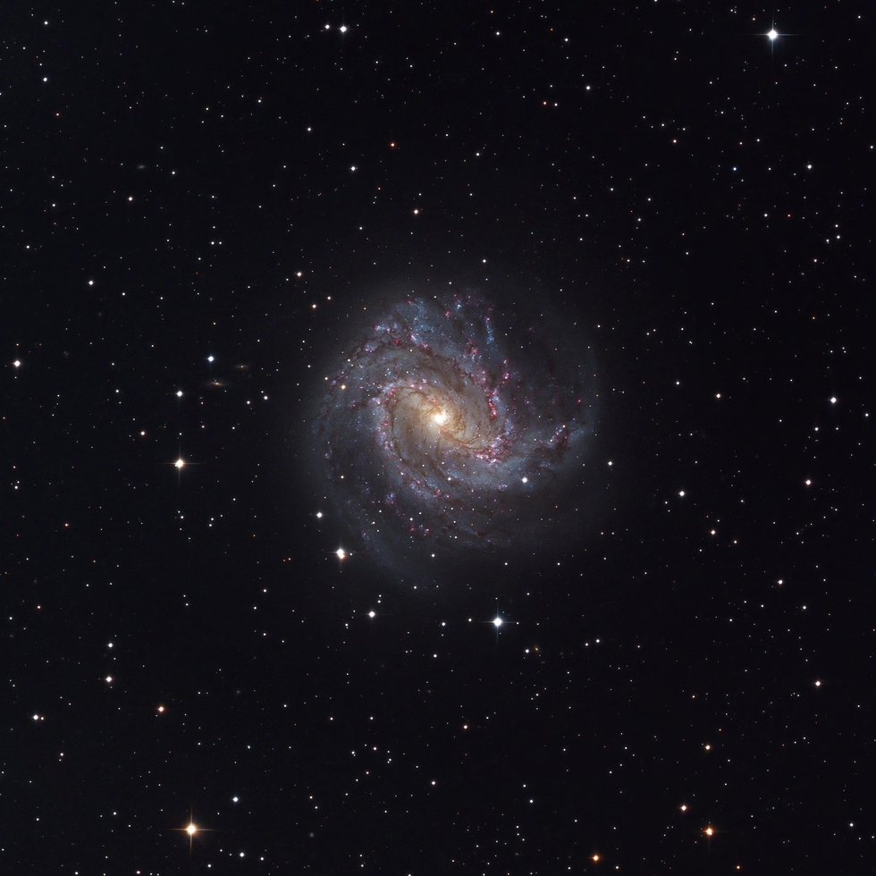 Southern Pinwheel Galaxy (M83) | Telescope Live